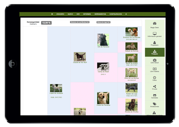 Software for Dog Breeders, pet breeding and pedigree app, pedigree ...